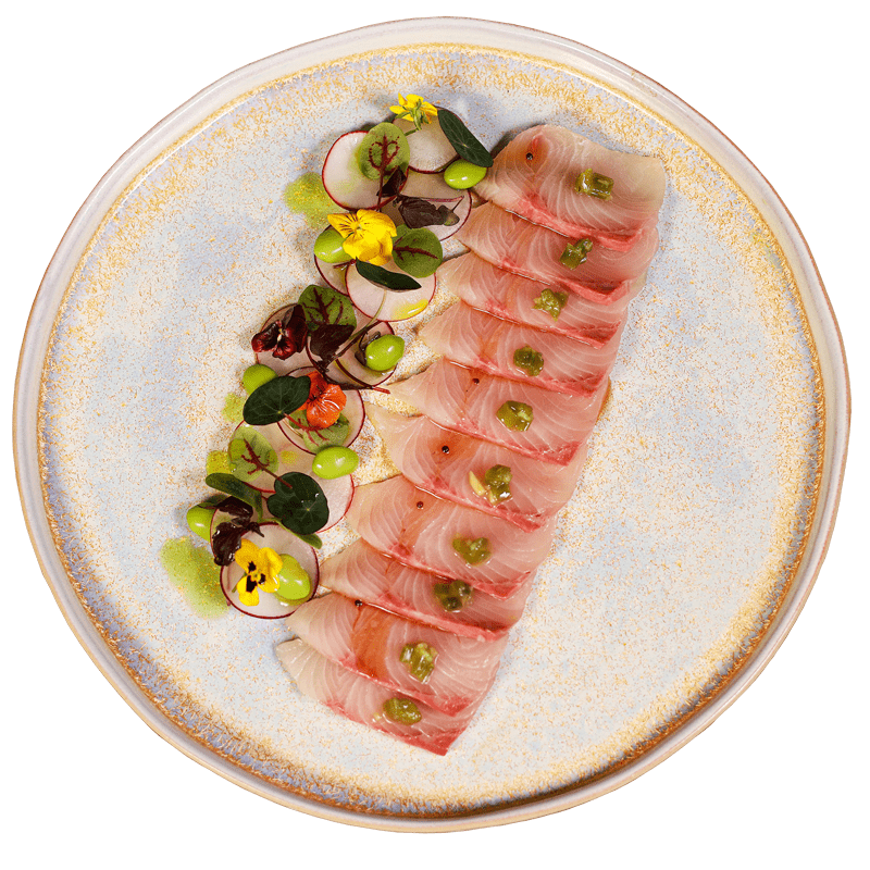 Home | Concept+Partners